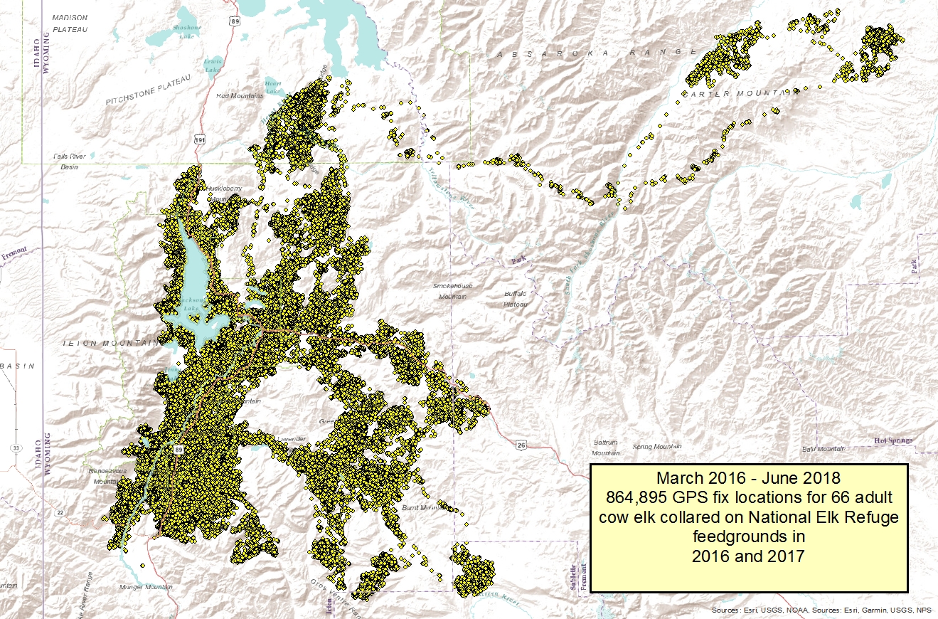 GPS Collar Data | FWS.gov