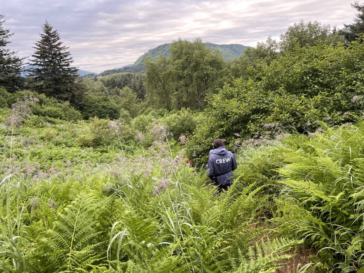Kodiak YCC | FWS.gov