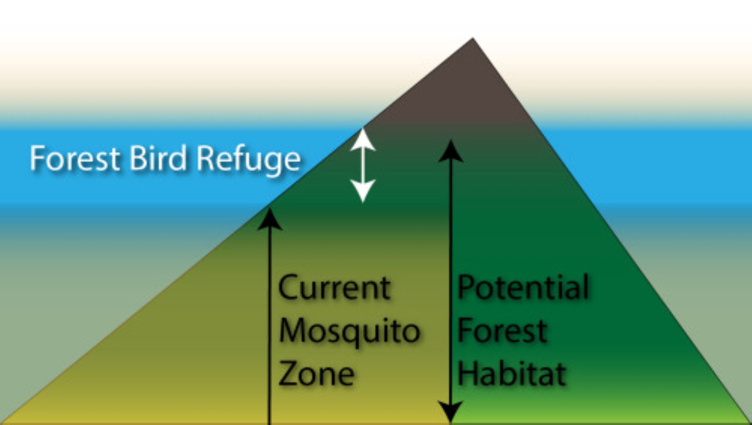 Graph.jpg | FWS.gov