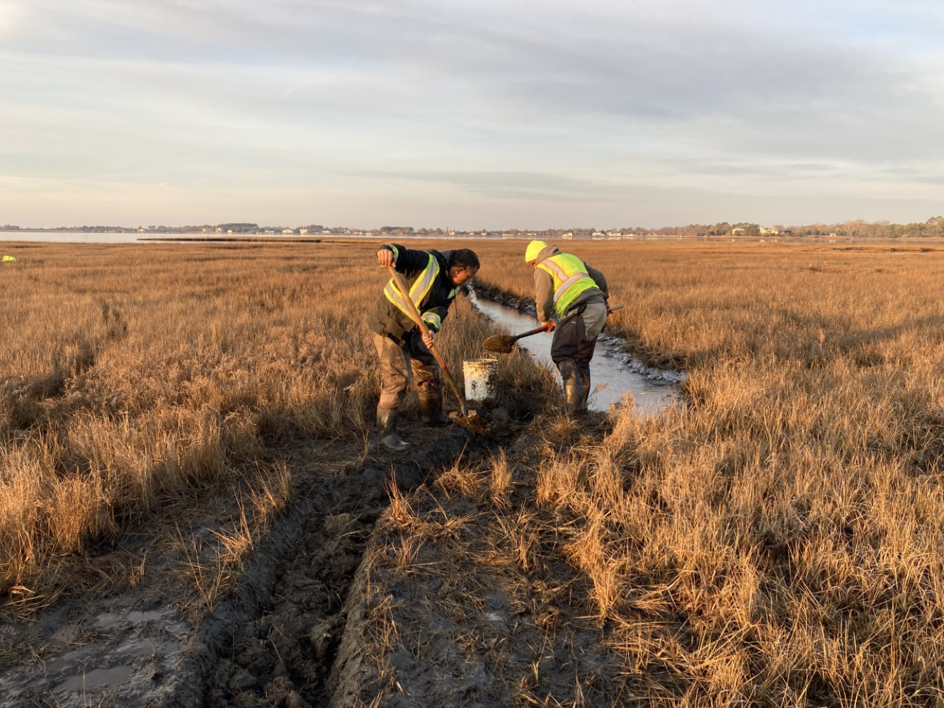 Digging a runnel in slat marsh | FWS.gov