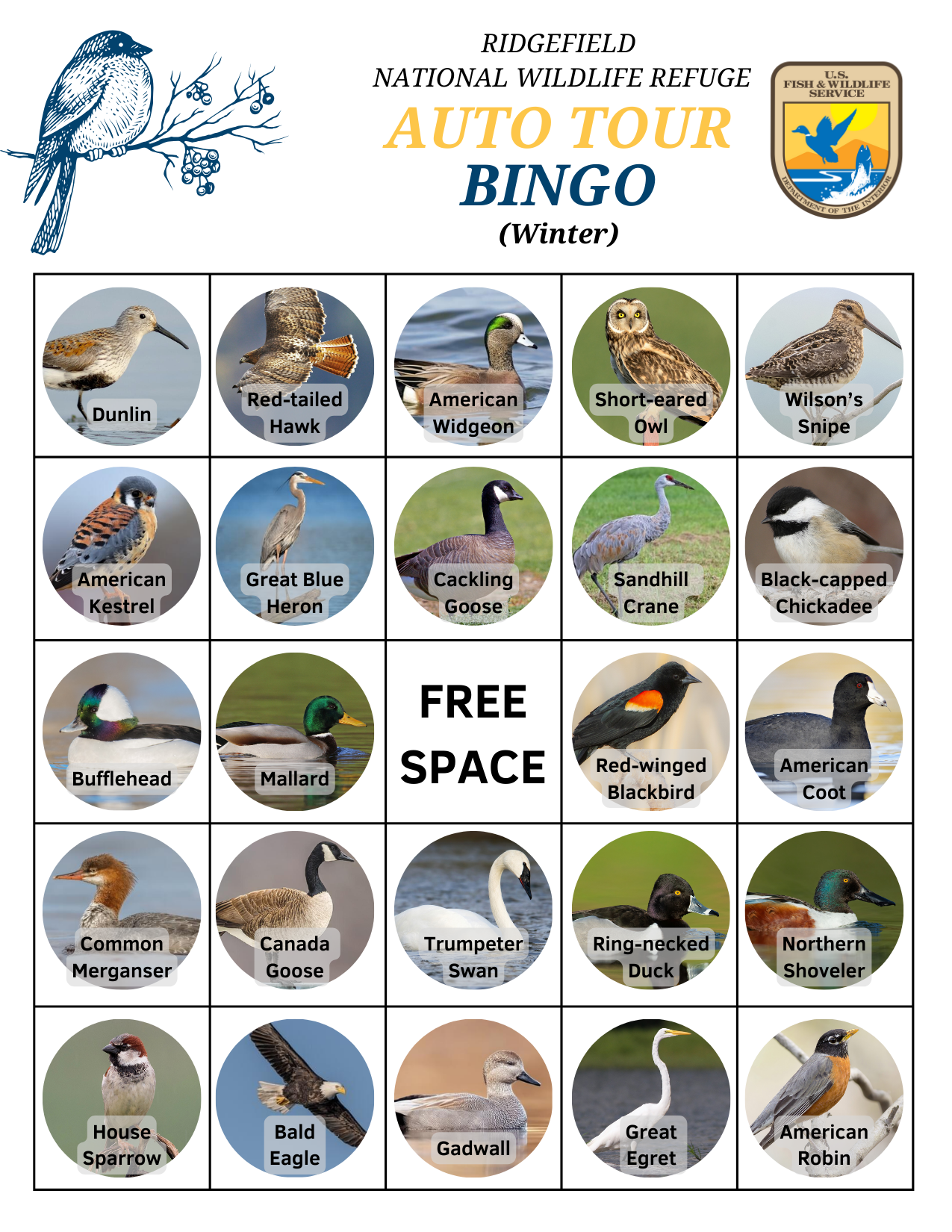 Auto Tour Bird Bingo - Species (Winter) | FWS.gov
