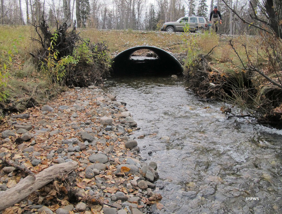 Fish Need to Move! Fish Passage Project with Fish-Friendly Culvert ...