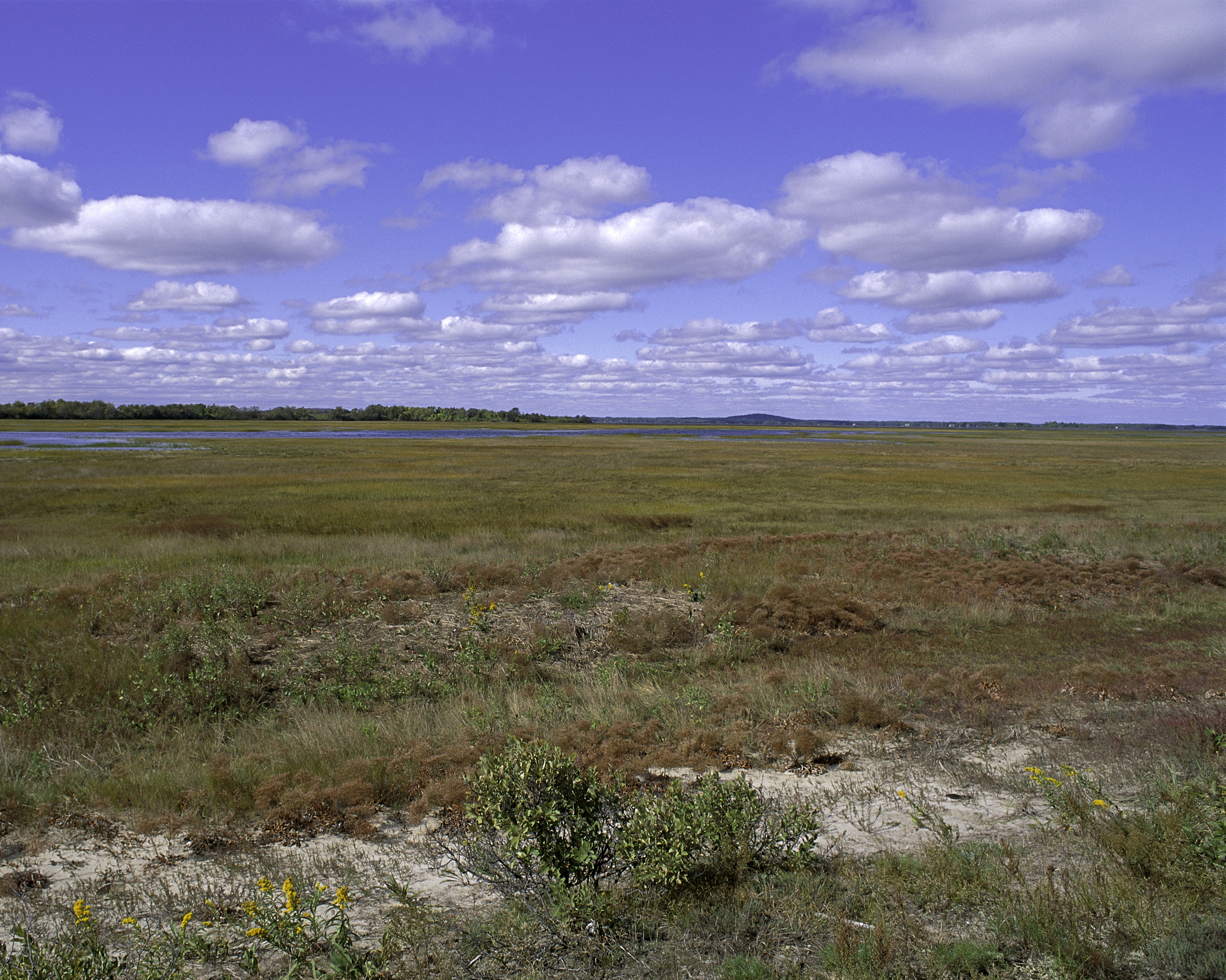 Parker River National Wildlife Refuge | FWS.gov