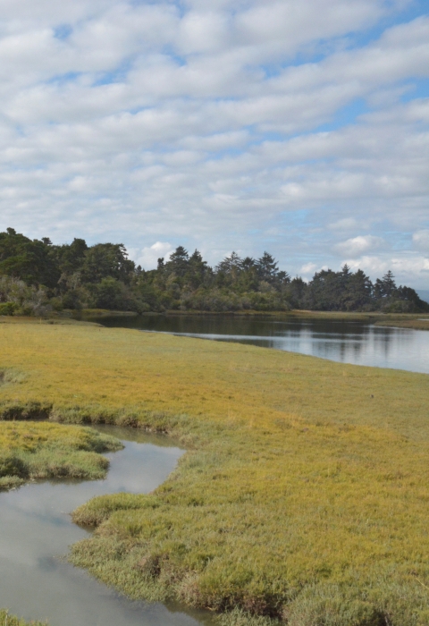Humboldt Bay National Wildlife Refuge | U.S. Fish & Wildlife Service
