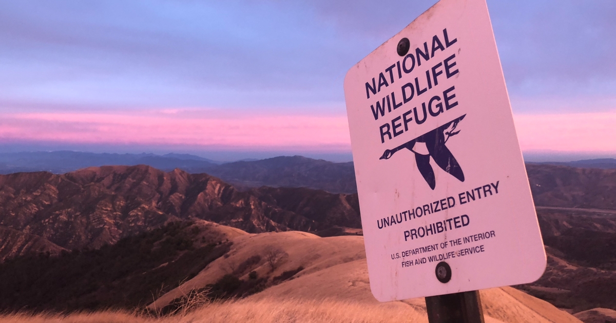 Things you didn’t know about the National Wildlife Refuge System | U.S ...
