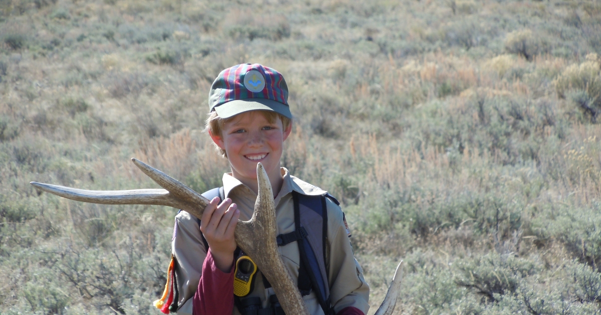 Shed antler collection | U.S. Fish & Wildlife Service