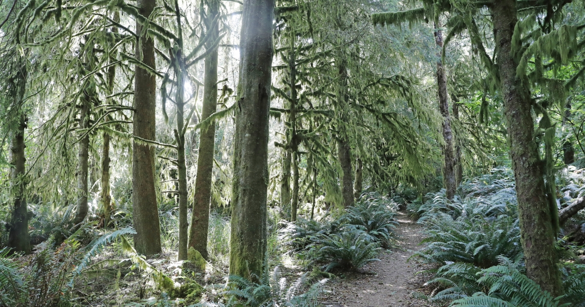 New Study Shows Americans’ Deep Appreciation for Nature, Barriers to ...