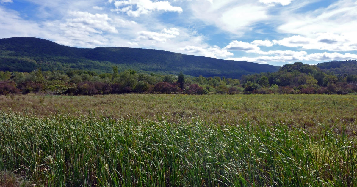 Reconnecting Lenape Tribes to their homelands | U.S. Fish & Wildlife ...