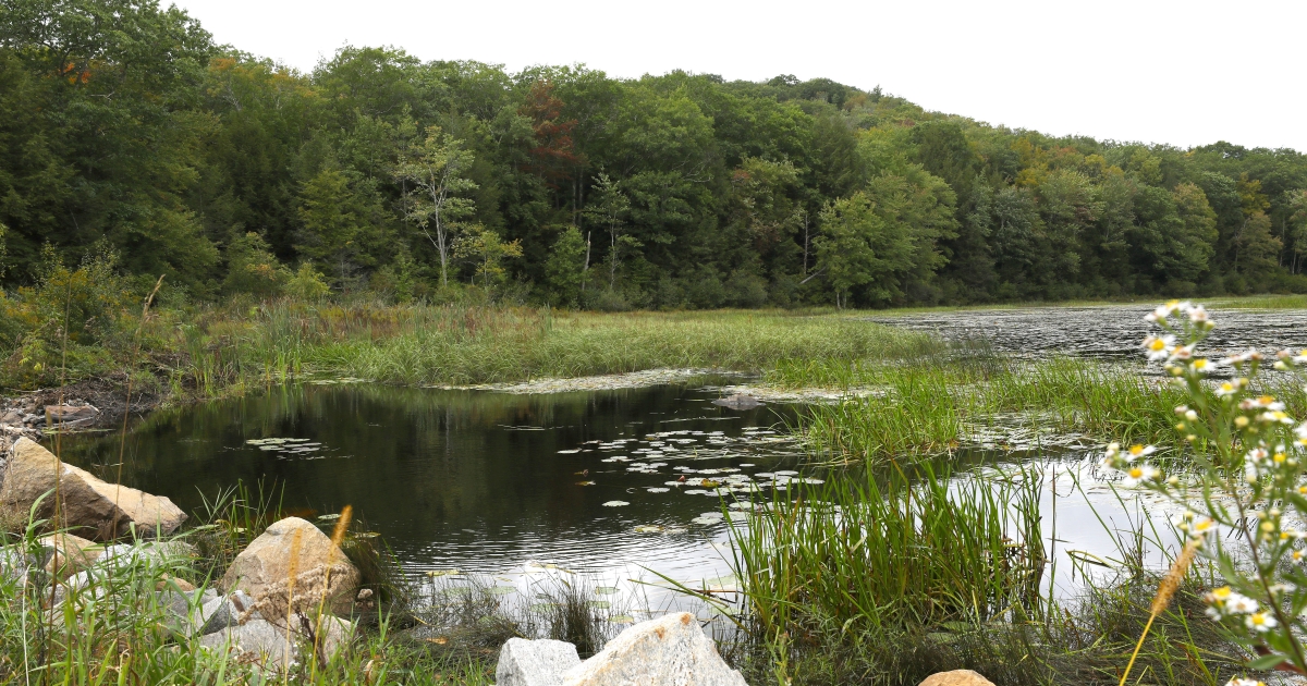 Highlands Conservation Act 2024 fact sheets | U.S. Fish & Wildlife Service