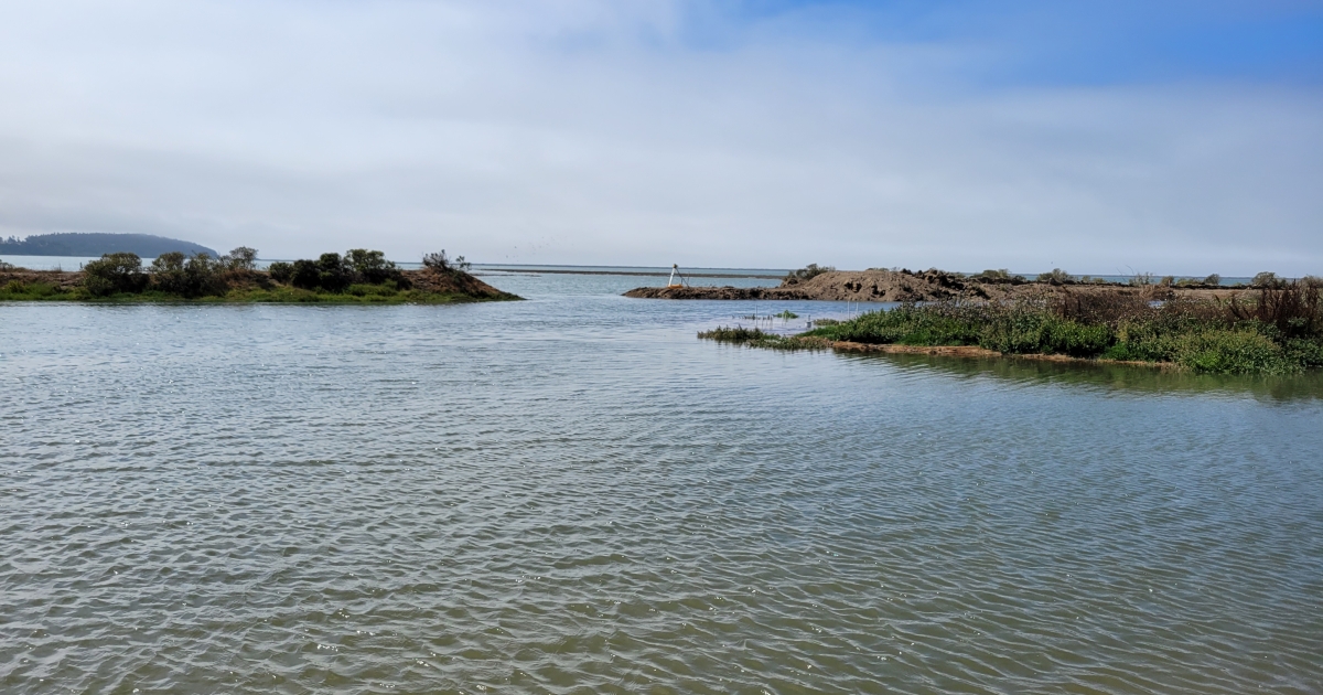 Arcata Habitat Restoration Staff | U.S. Fish & Wildlife Service