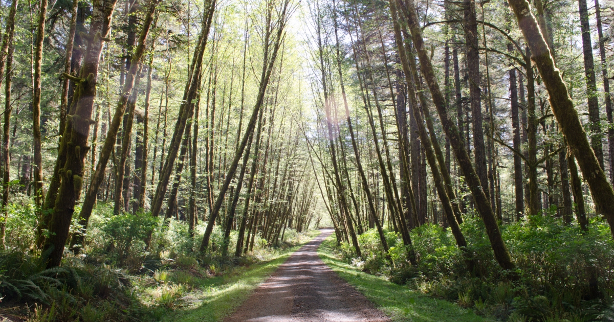 Service Releases Final EIS for the Elliott State Research Forest ...