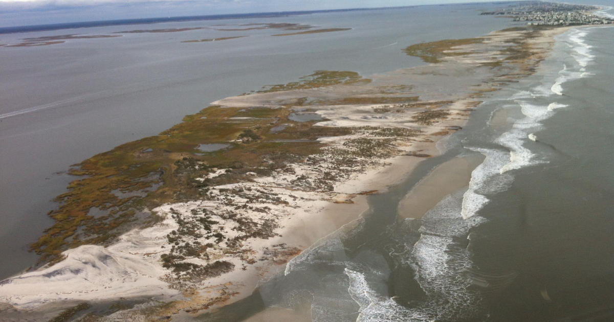 The future for piping plovers | U.S. Fish & Wildlife Service
