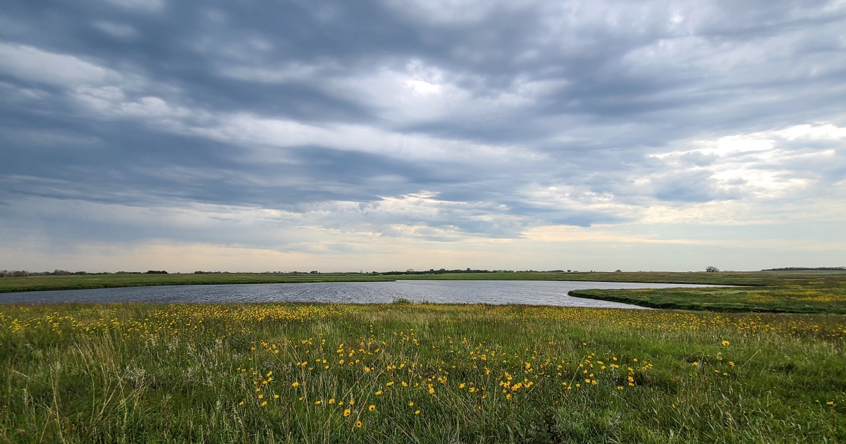 2023 Waterfowl Banding Operations: Brooks, Alberta, Canada | U.S. Fish ...