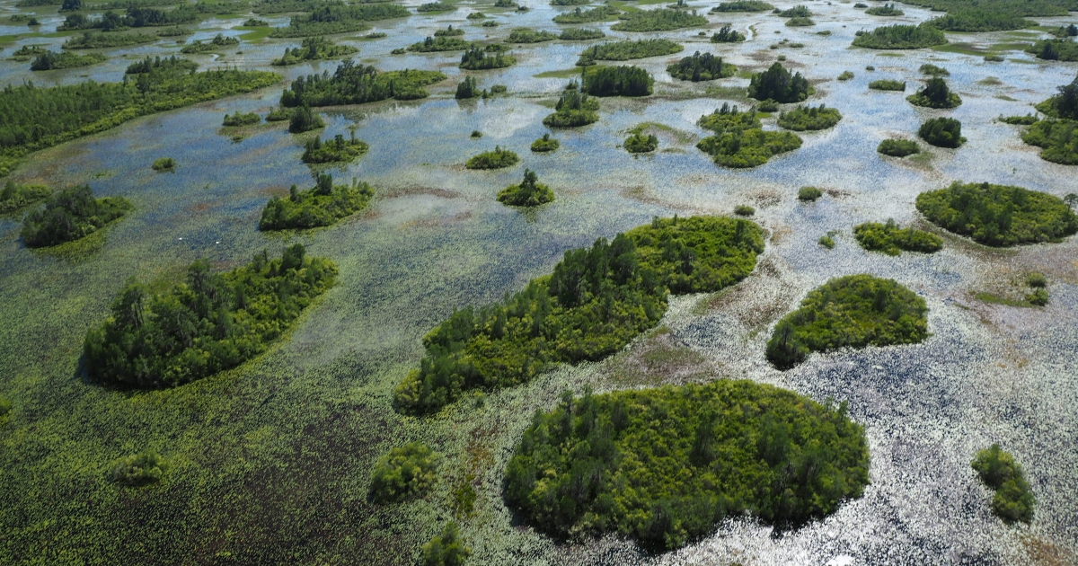Okefenokee National Wildlife Refuge Image Library | U.S. Fish ...