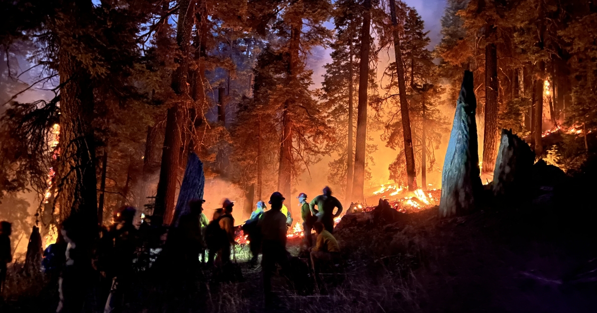 My First Summer as Wildland Firefighter Apprentice | U.S. Fish ...