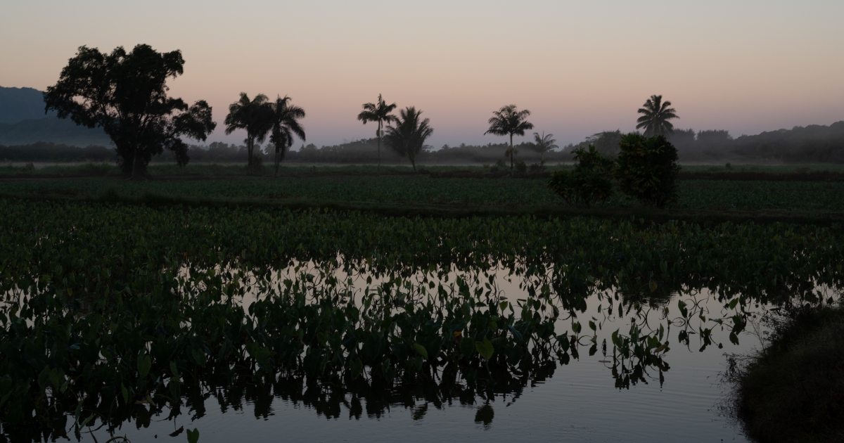 Free Mobile Guide is Now Available | U.S. Fish & Wildlife Service