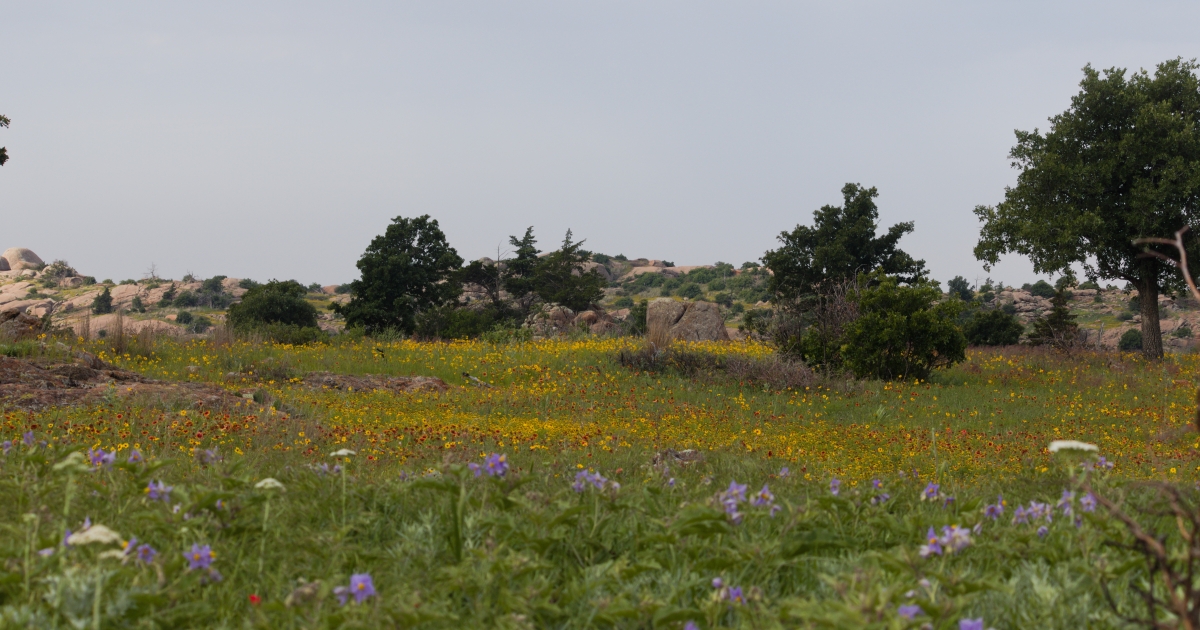 Remembering Lynn Greenwalt, Former FWS Director and Conservation Hero ...