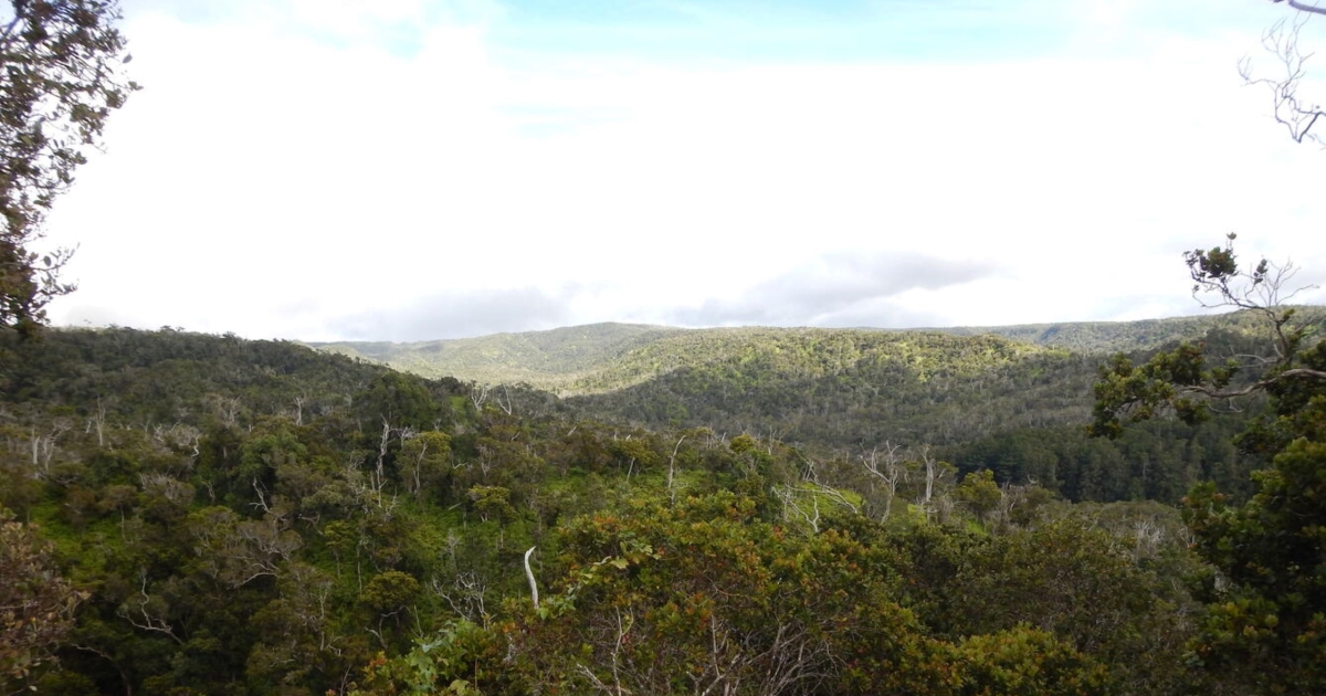 Birds on the Brink | U.S. Fish & Wildlife Service