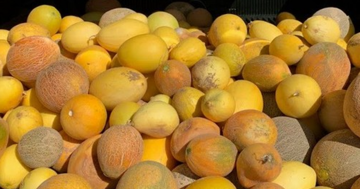 Freeze Drying Crops for Climate Change Resilience | U.S. Fish ...