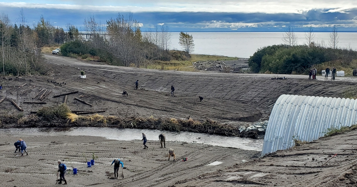 Alaska's Largest Culvert Frees Tyonek Creek | U.S. Fish & Wildlife Service