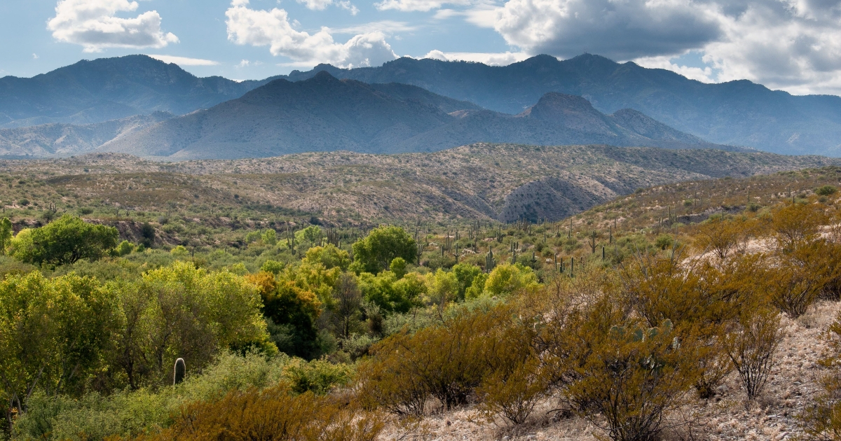 Compensatory Mitigation in Pima County | U.S. Fish & Wildlife Service