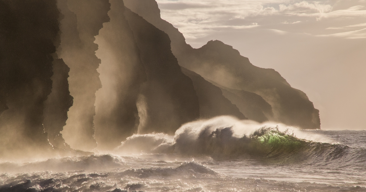 Service Seeks Public Comment on Draft HCP and EIS for KIUC | U.S. Fish & Wildlife Service