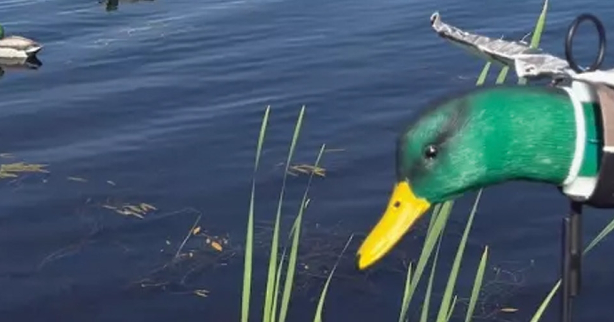 Wallkill River National Wildlife Refuge | U.S. Fish & Wildlife Service