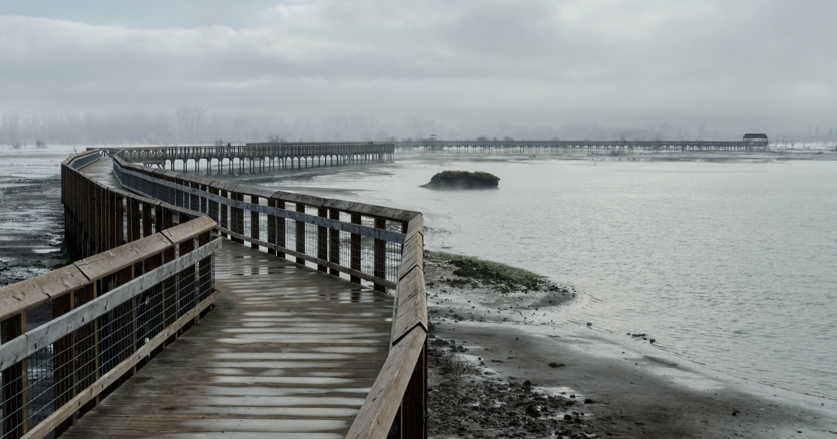 Boardwalk Stabilization Project | U.S. Fish & Wildlife Service