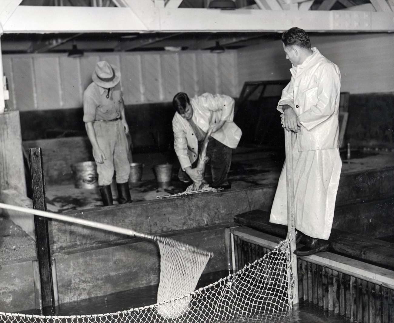 fish-production-operations-leavenworth-national-fish-hatchery-1940-8-29 ...