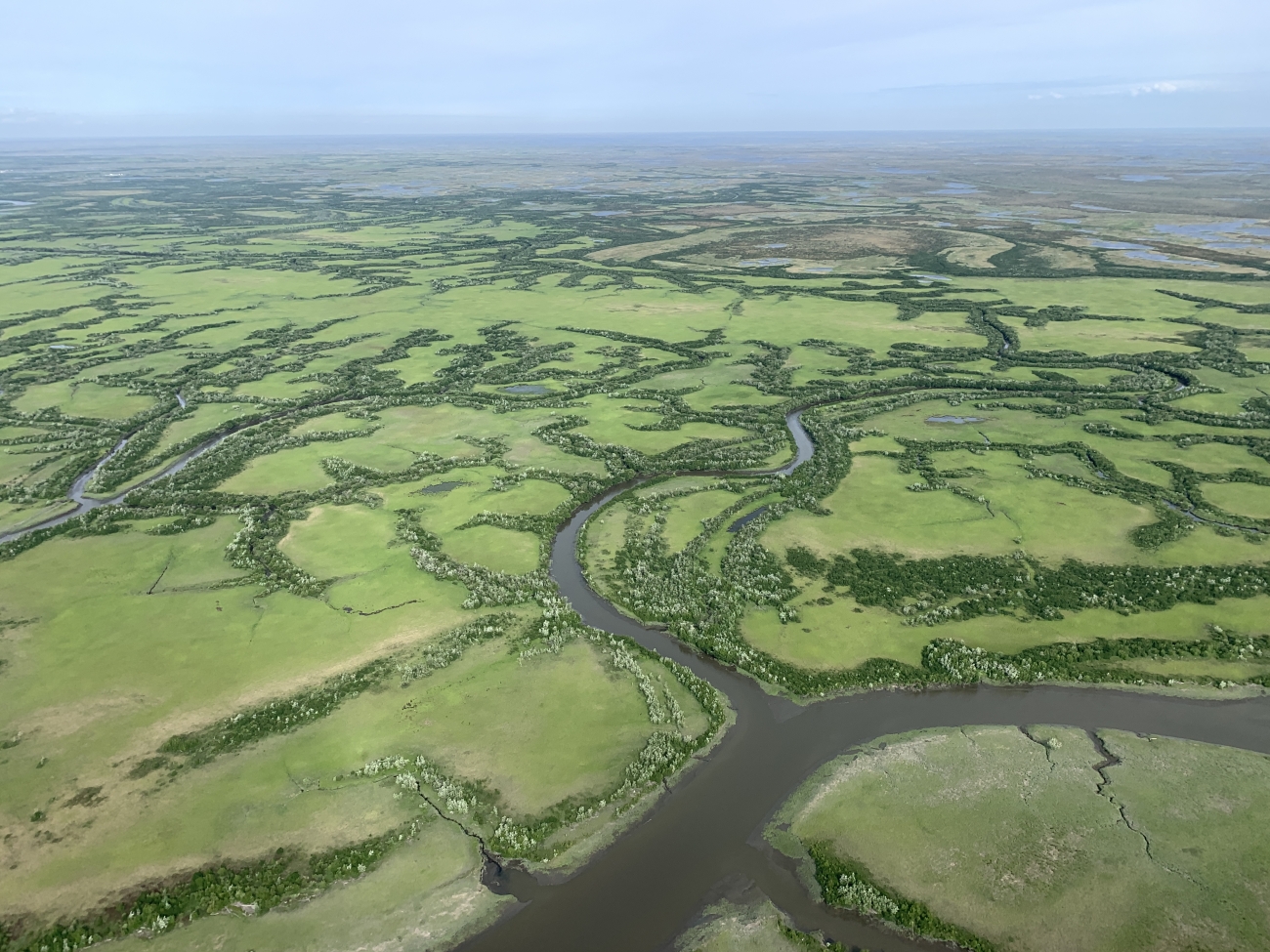 Tributaries of the Kuskokwim River at Yukon Delta Refuge | FWS.gov