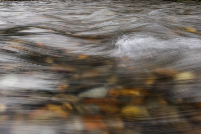 South Toe River, North Carolina | FWS.gov
