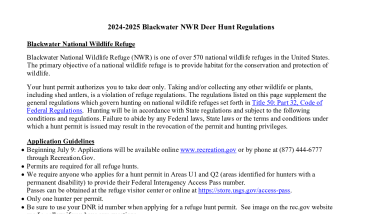 Blackwater NWR 2024-25 Deer Hunt Regulations | FWS.gov