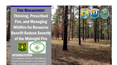 Thinning, Prescribed Fire, and Managing Wildfire Handout | FWS.gov