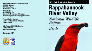 Bird Brochure | FWS.gov