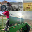 Clover Creek.png | FWS.gov