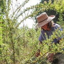 Amy Boyd at the Klondyke Homes pollinator garden | FWS.gov