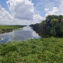 Stick Marsh Critical Wildlife Area | FWS.gov