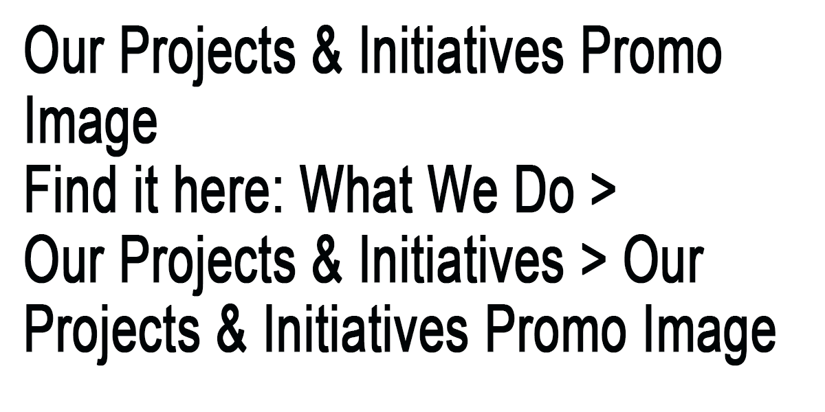our-projects-and-initiatives-promo-graphic-placeholder.gif | FWS.gov