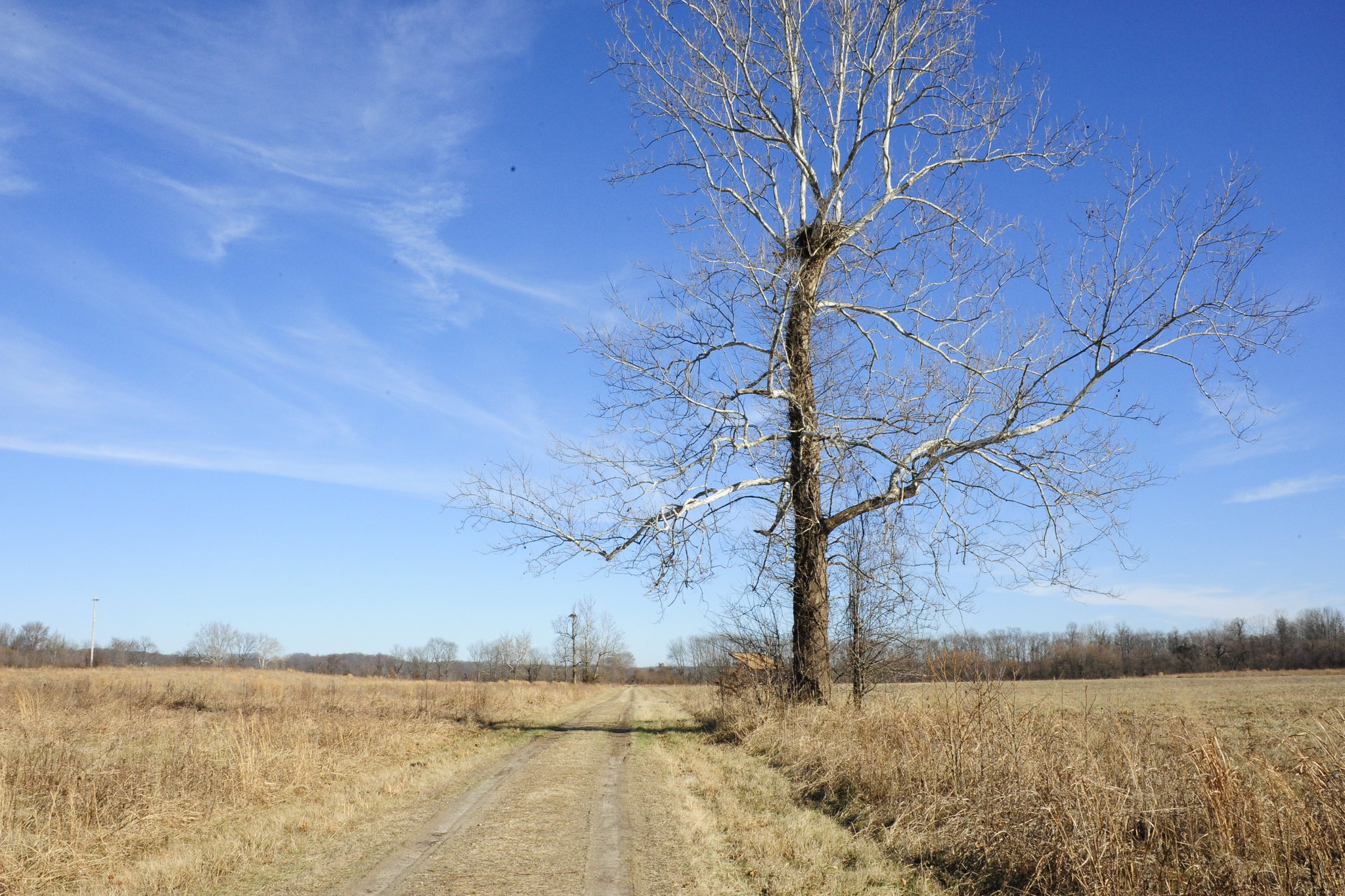 Trails at Occoquan Bay NWR | FWS.gov