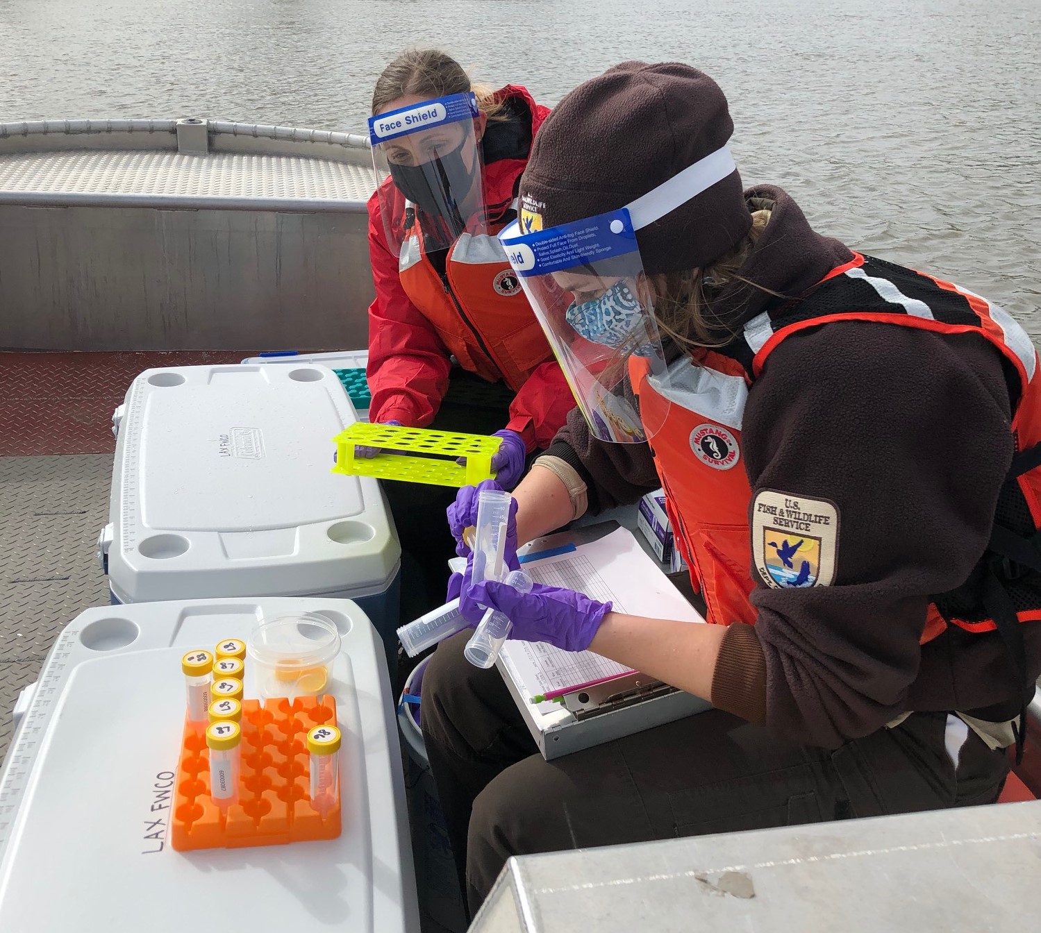 Collecting water samples for carp DNA detection | FWS.gov