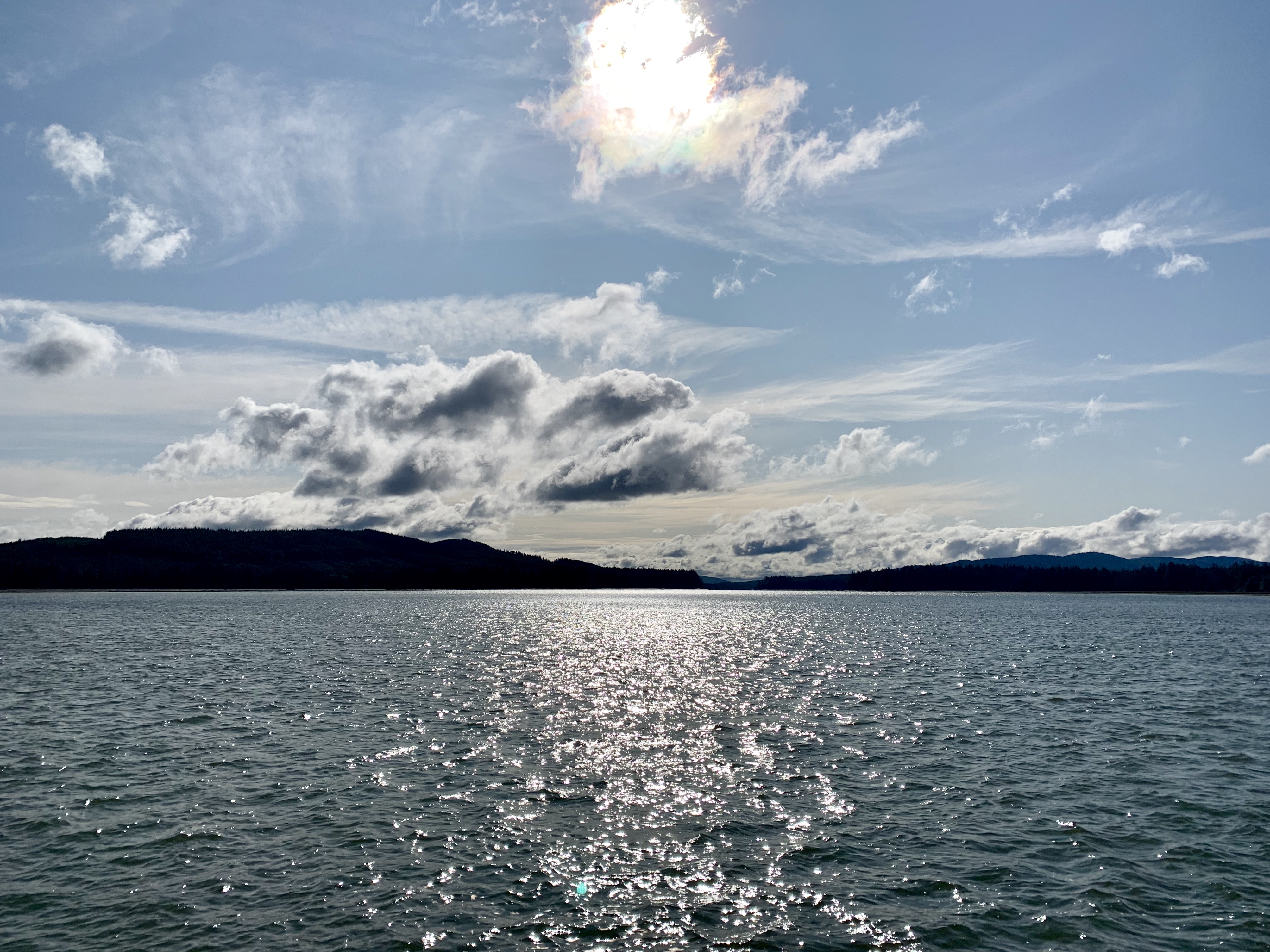 A view of Willapa Bay from Willapa Refuge | FWS.gov