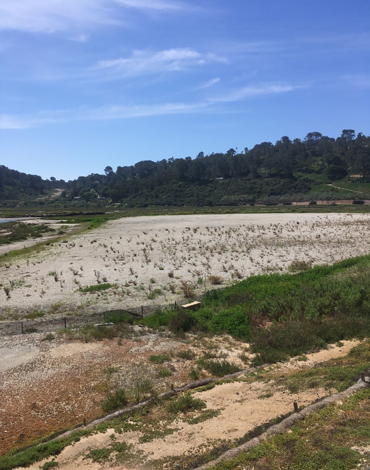 human-made nesting sites | FWS.gov
