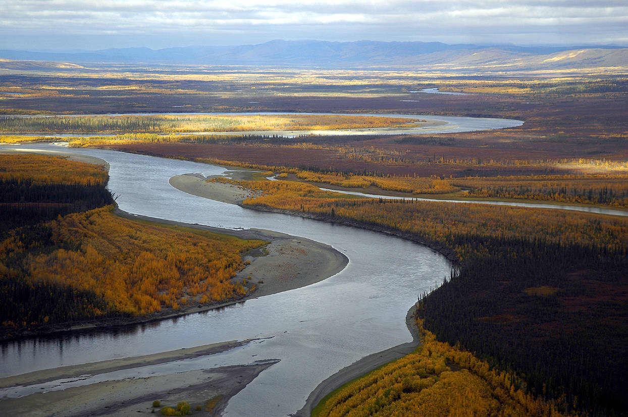 Koyukuk River.jpg | FWS.gov