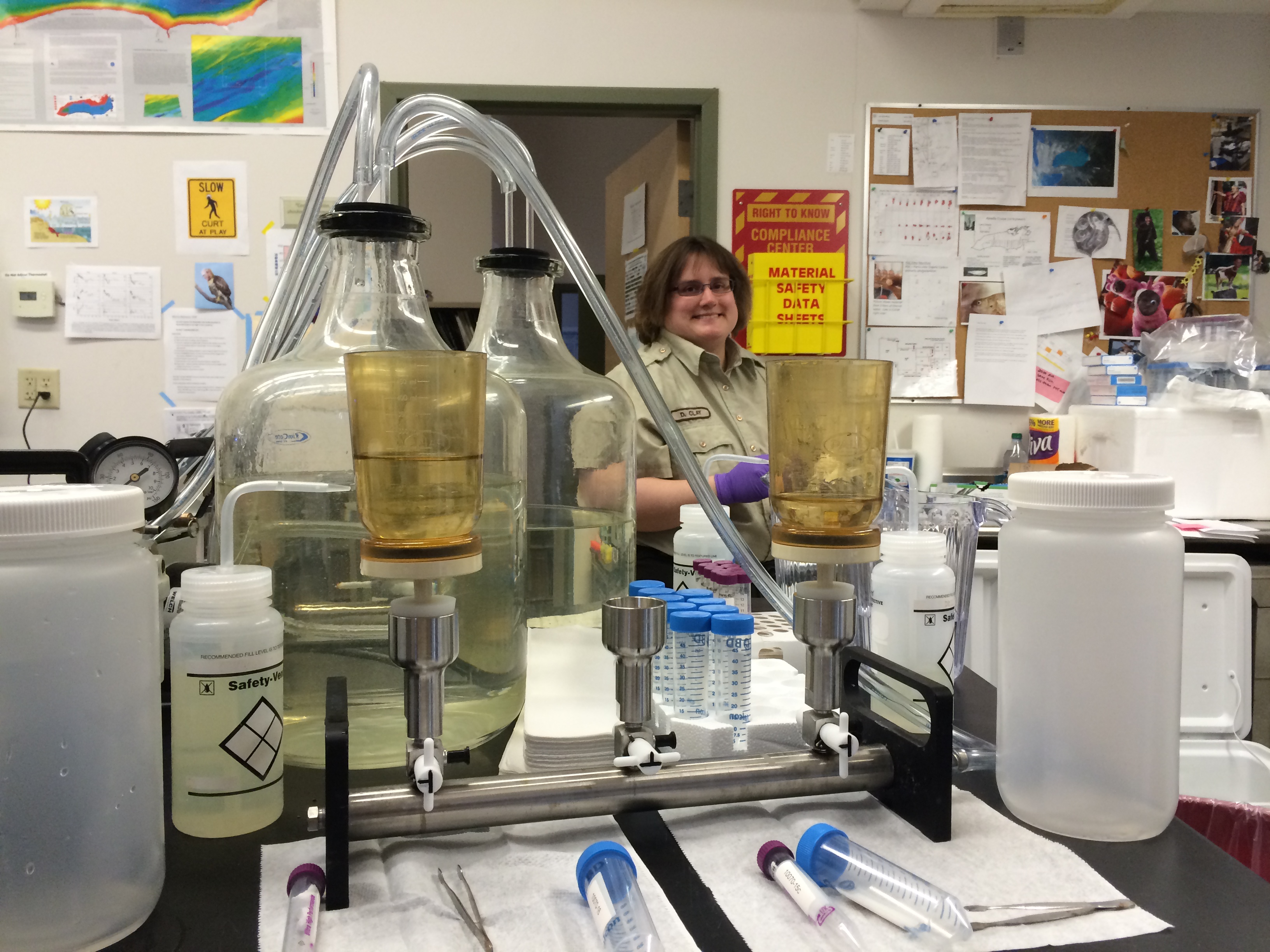 Filtering eDNA samples | FWS.gov