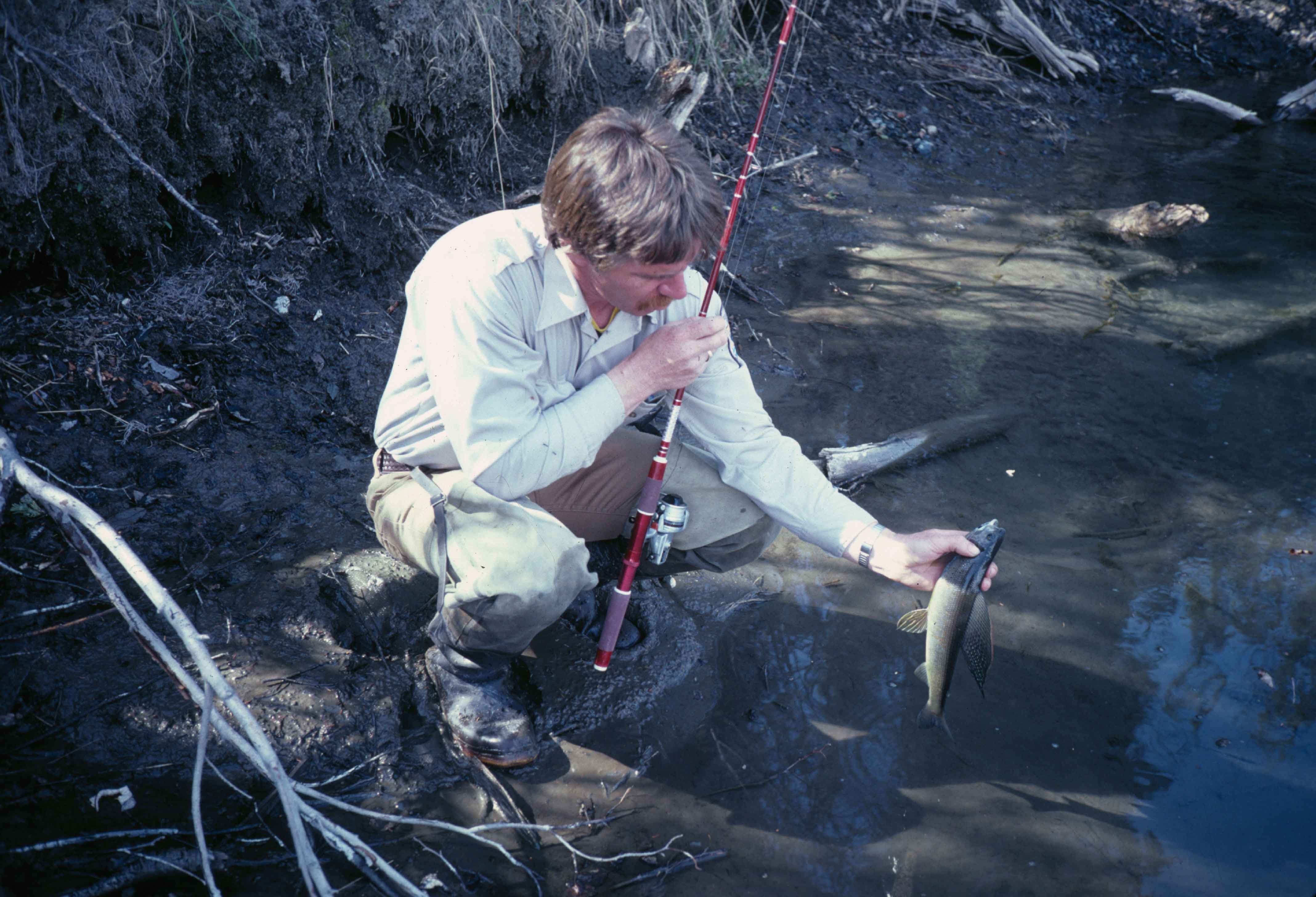 Steve Breeser catches Grayling USFWS.jpg | FWS.gov