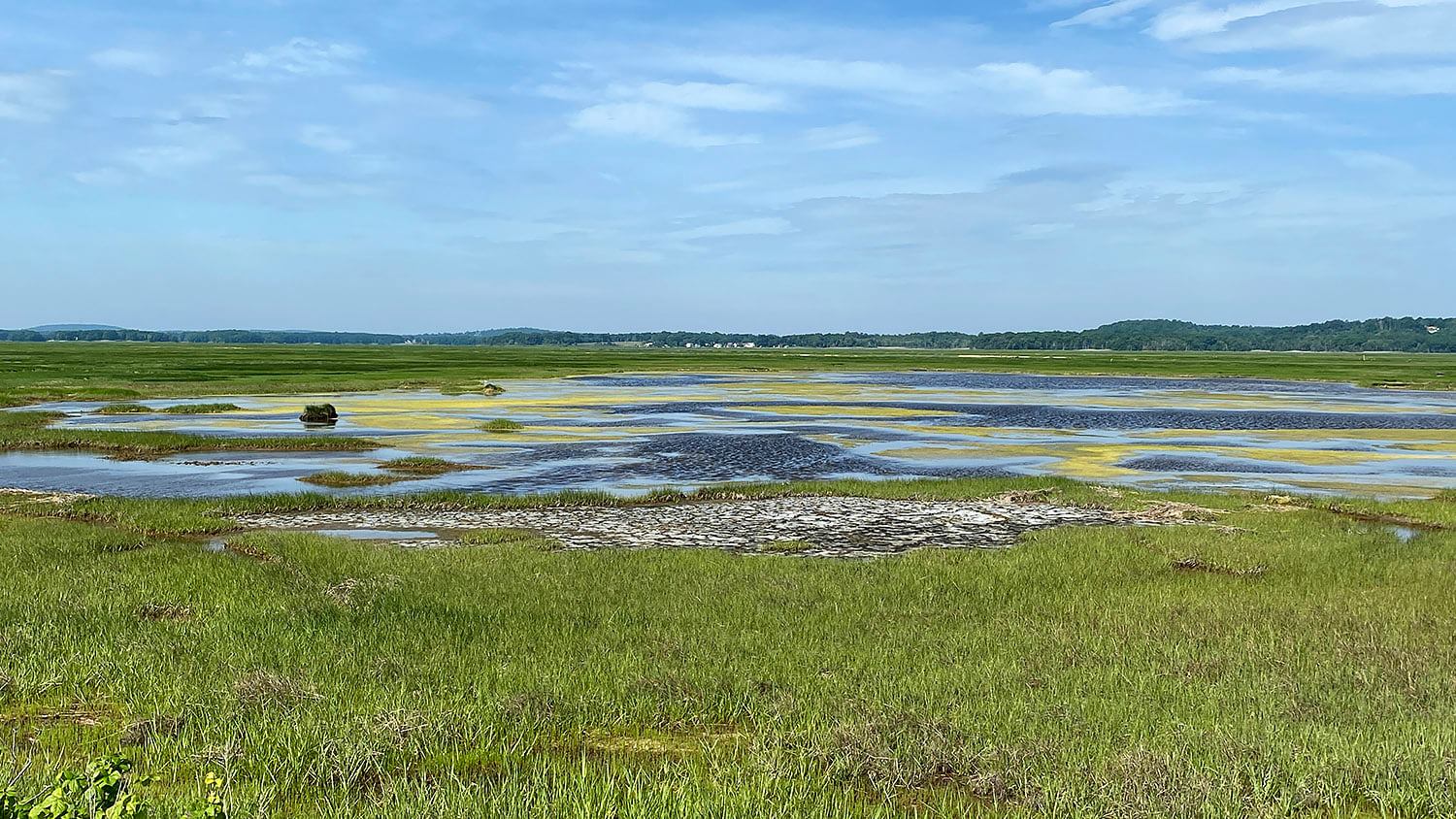 Salt marsh at Parker River Refuge | FWS.gov