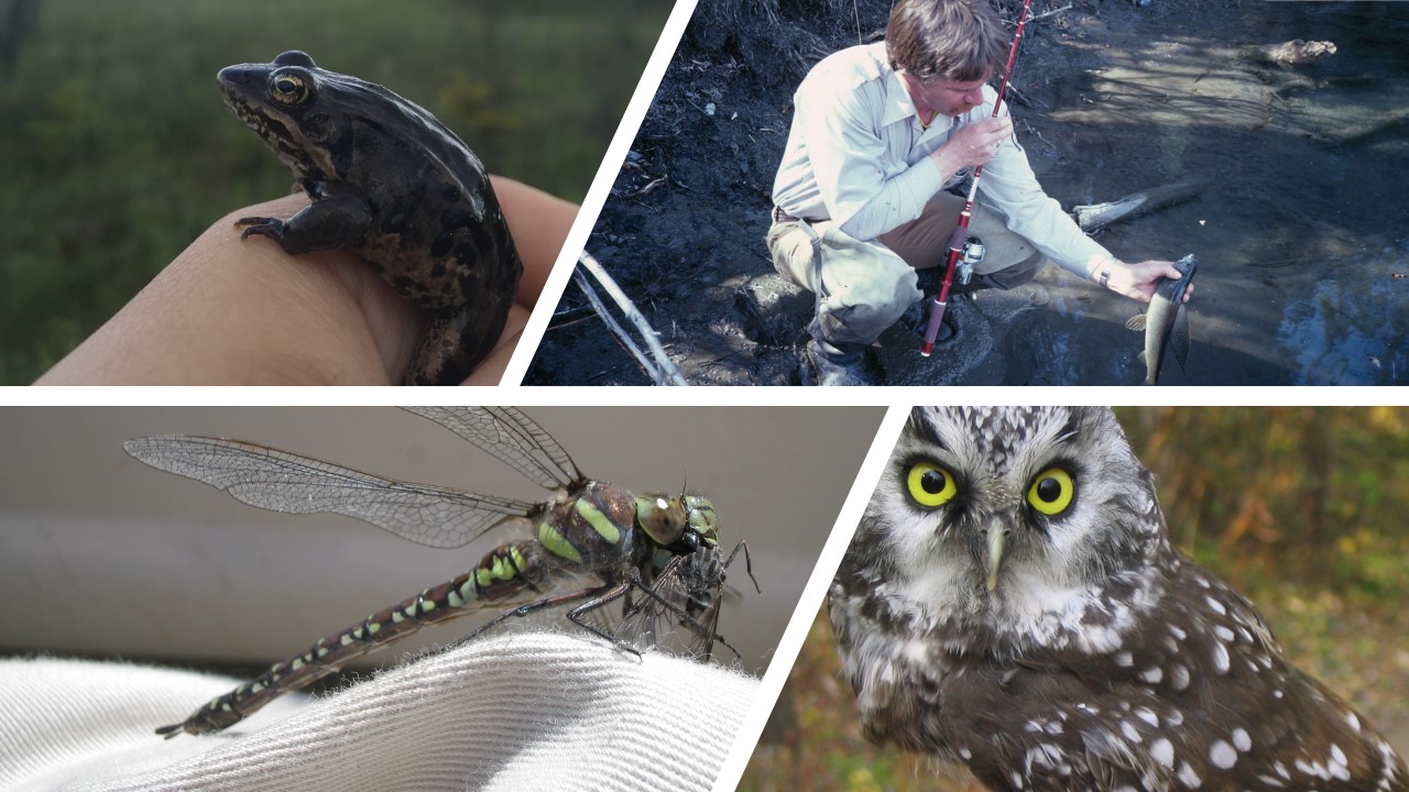 Content Main Splash.jpg | FWS.gov