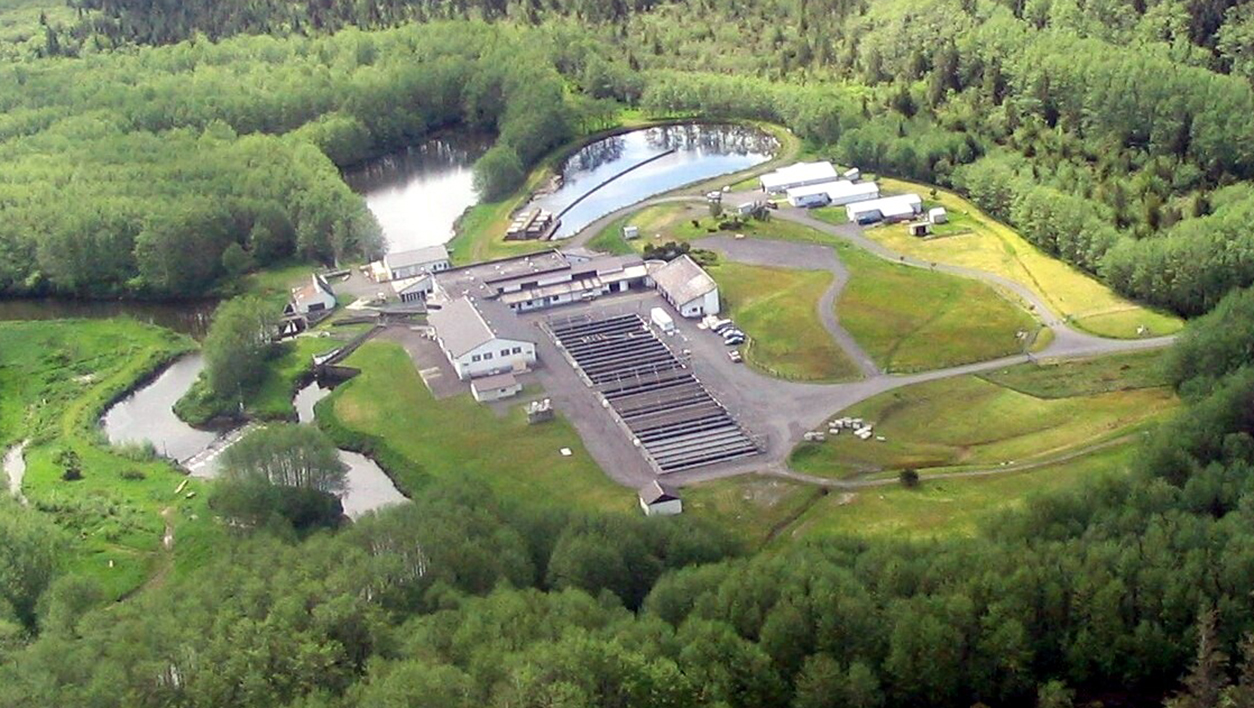Aerial view of Makah National Fish Hatchery | FWS.gov