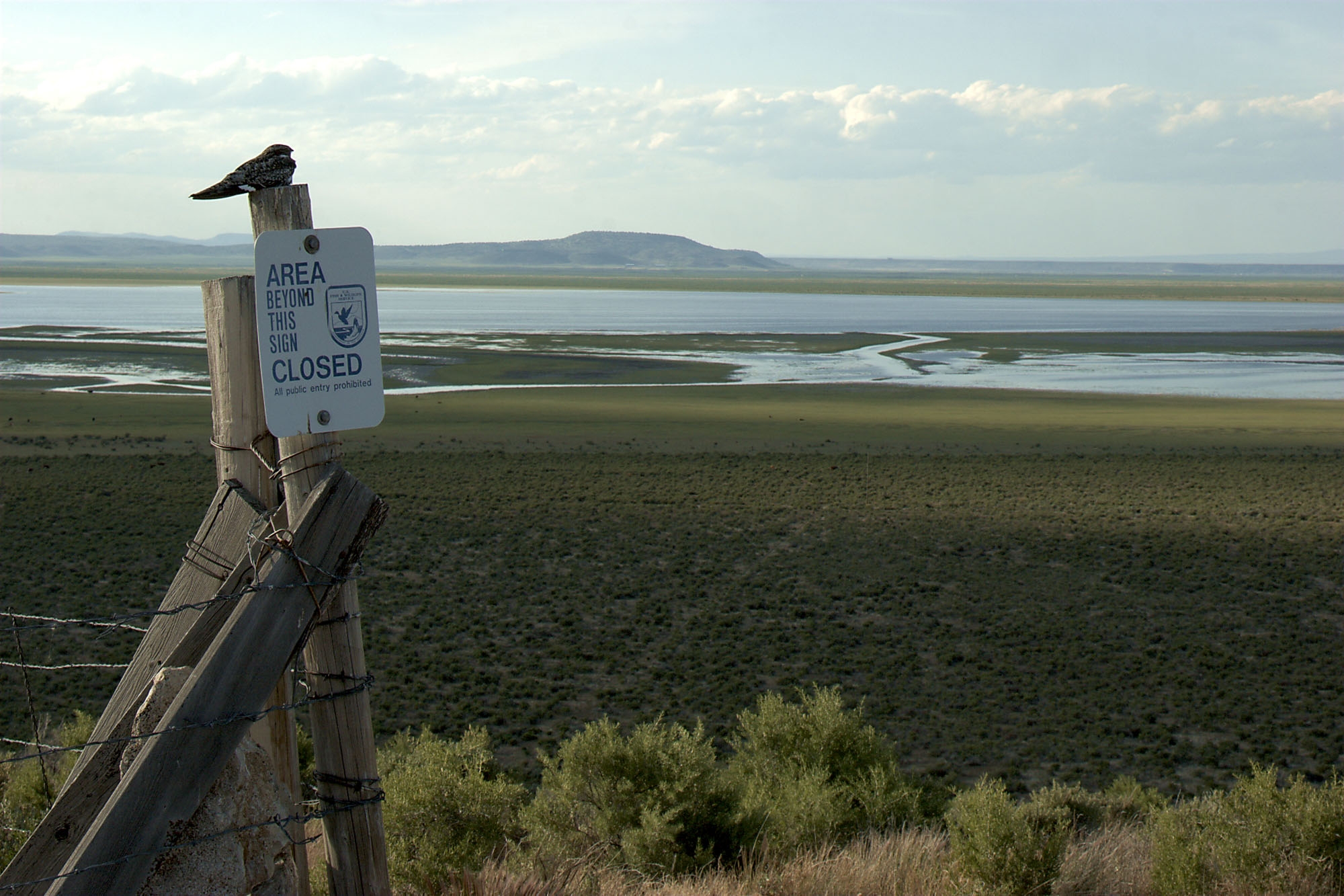 Malheur NWR_Harney Lake from Eagle's Nest_Barbara Wheeler Photography ...