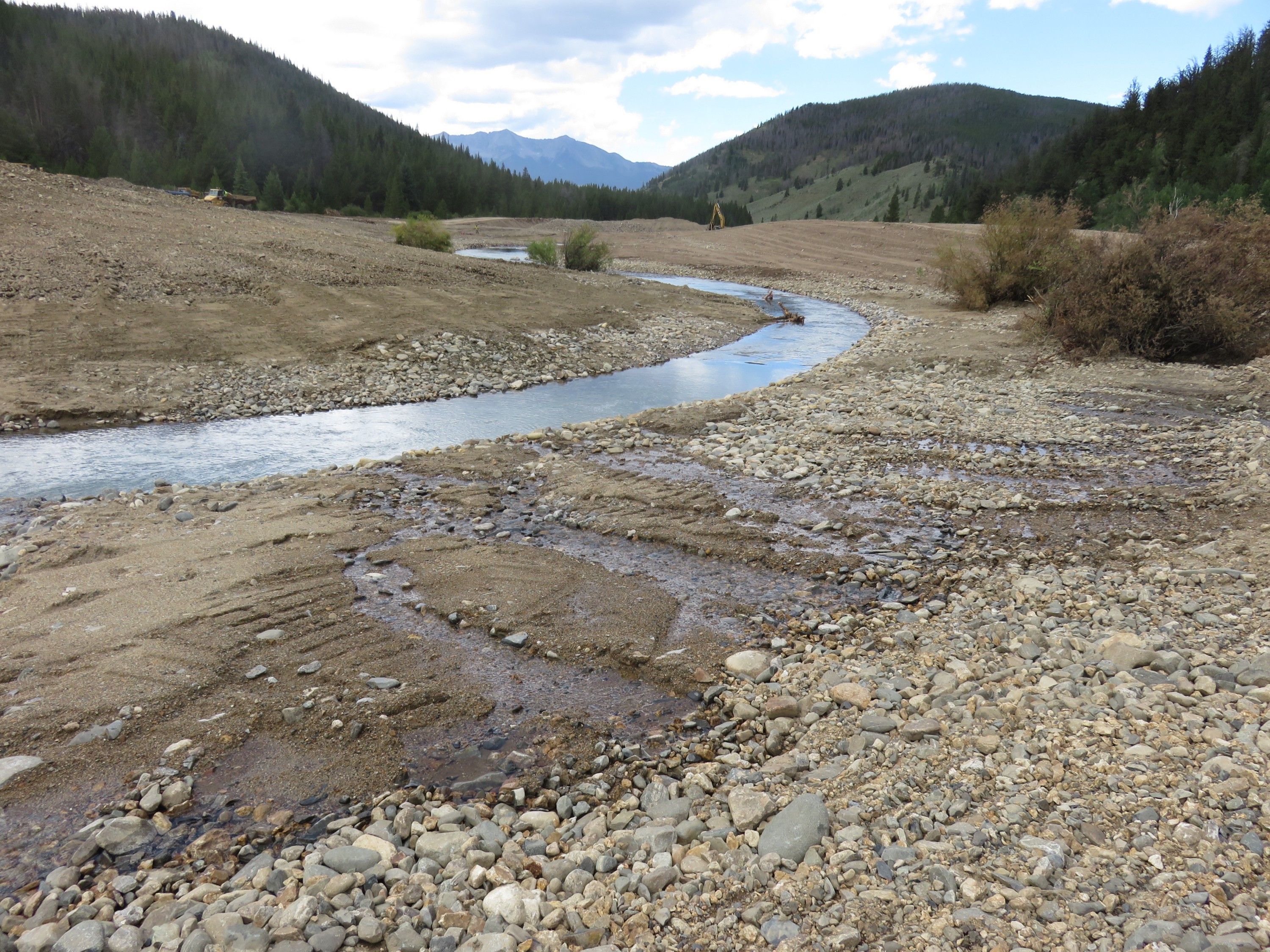 Swan River is coming back. Photo by Amanda Horvath-USFWS.jpeg | FWS.gov